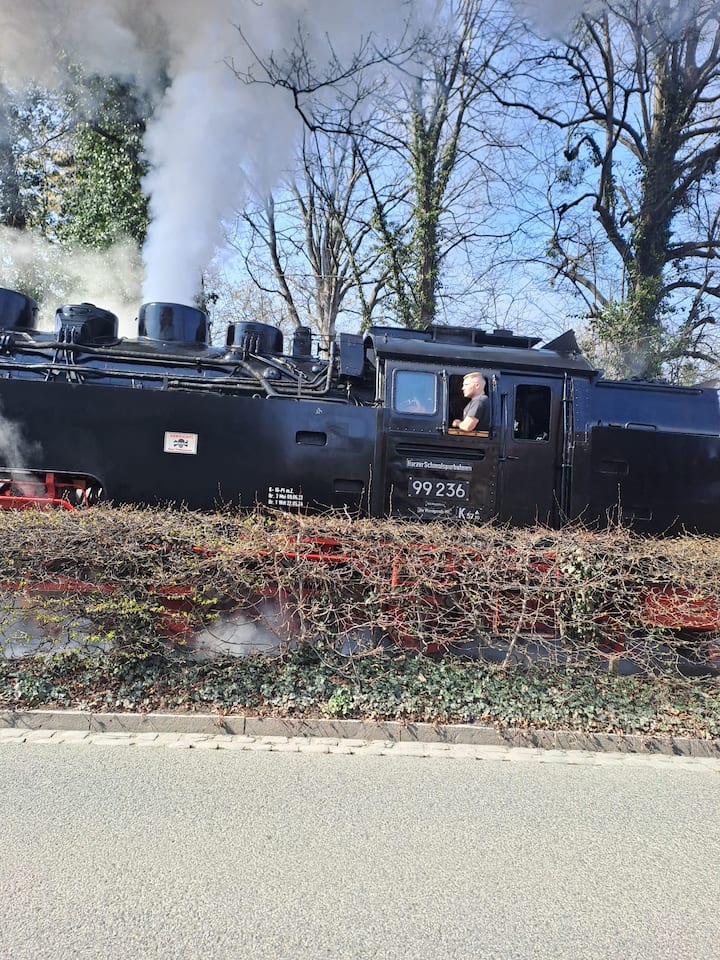 Ferienhaus Brockenbahnblick - Wernigerode