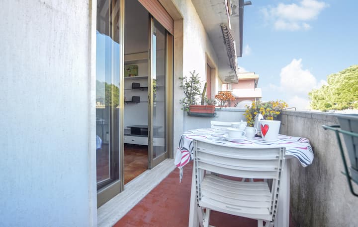 Pet Friendly Apartment In Viareggio With Wifi - Viareggio