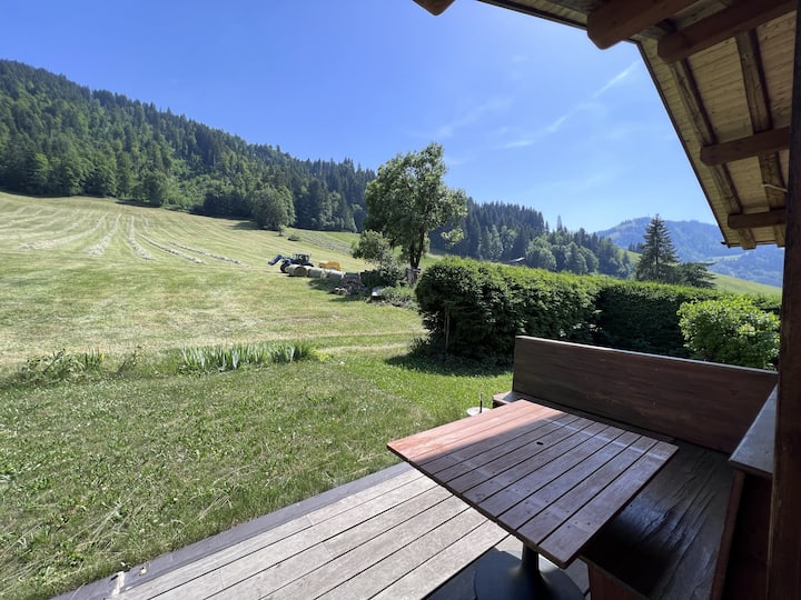 Petit Lutin - Chalet 6 Pers. Terrasse/jardin, Sur - La Giettaz
