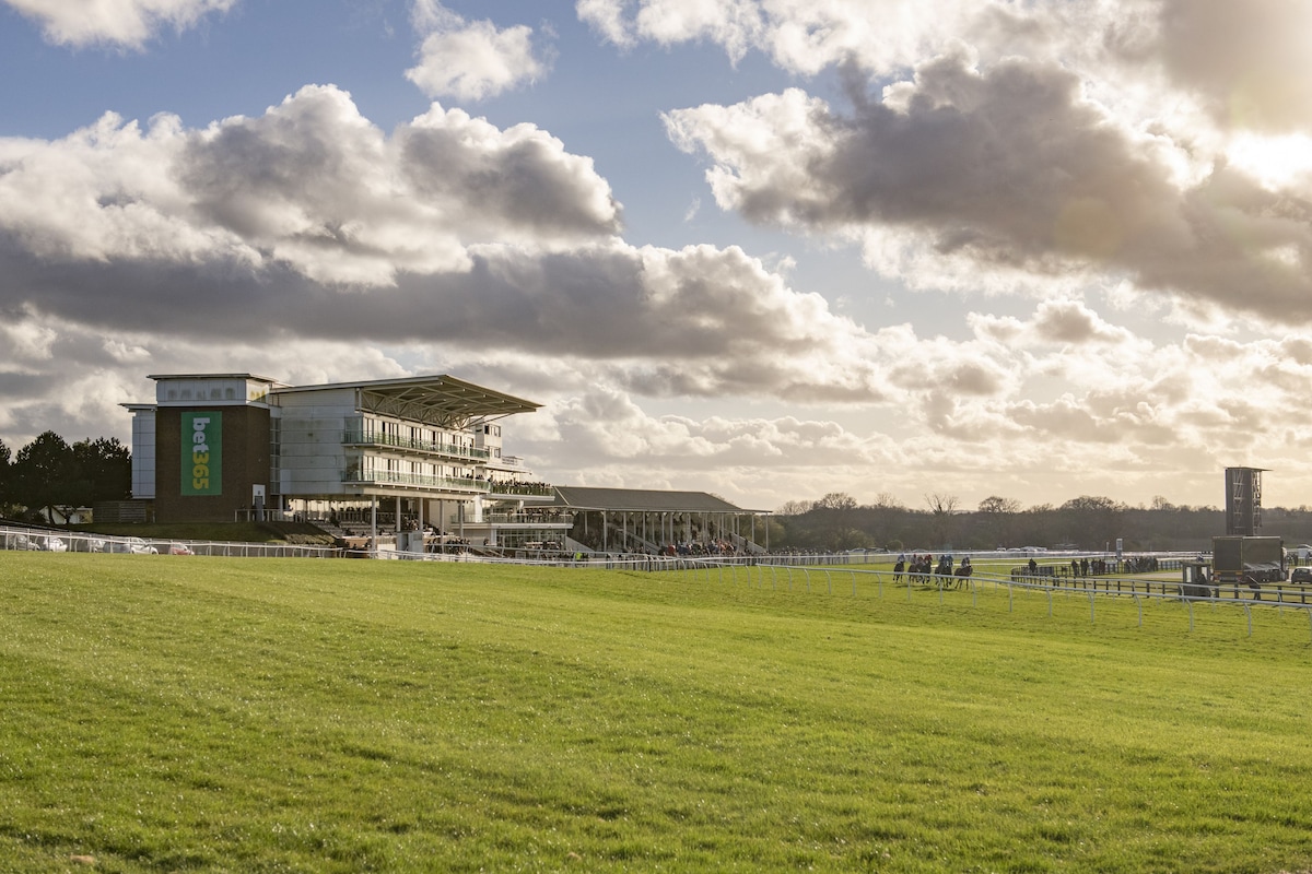 Phoenix - Houses for Rent in Bilton-in-Ainsty, England, United Kingdom ...