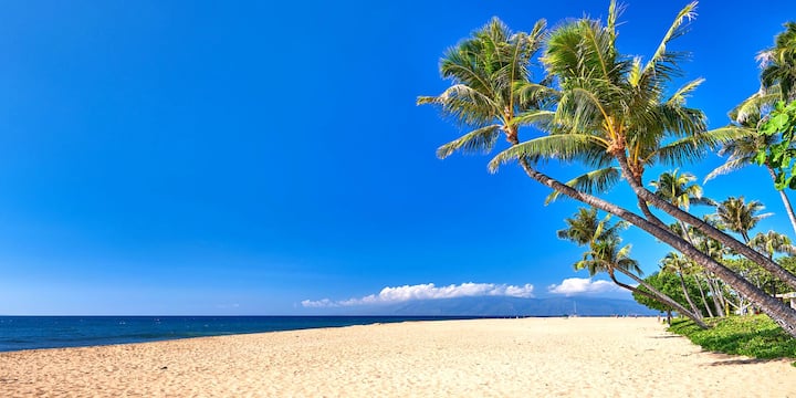 Kaanapali Shores Ocean View 2 Br | 815 By Kbm - Kaanapali, HI