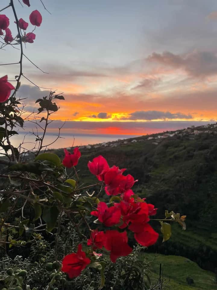 Calheta Suite - Vinha - Madeira