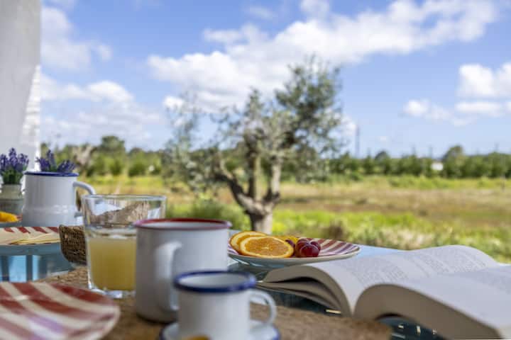 Casa Na Costa Alentejana (3) - 2 Pax By Soul House - Sines