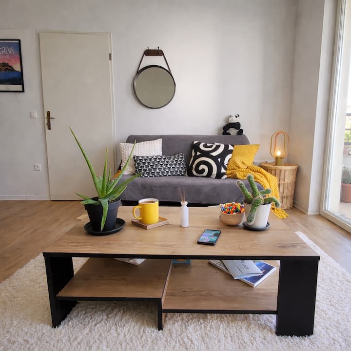 Le Salluste : T2 Cosy Avec Balcon à Strasbourg. - Lingolsheim