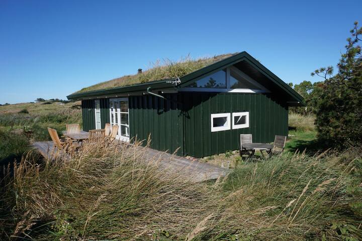 A Modern Holiday Home In Kandestederne 021616 - Skagen