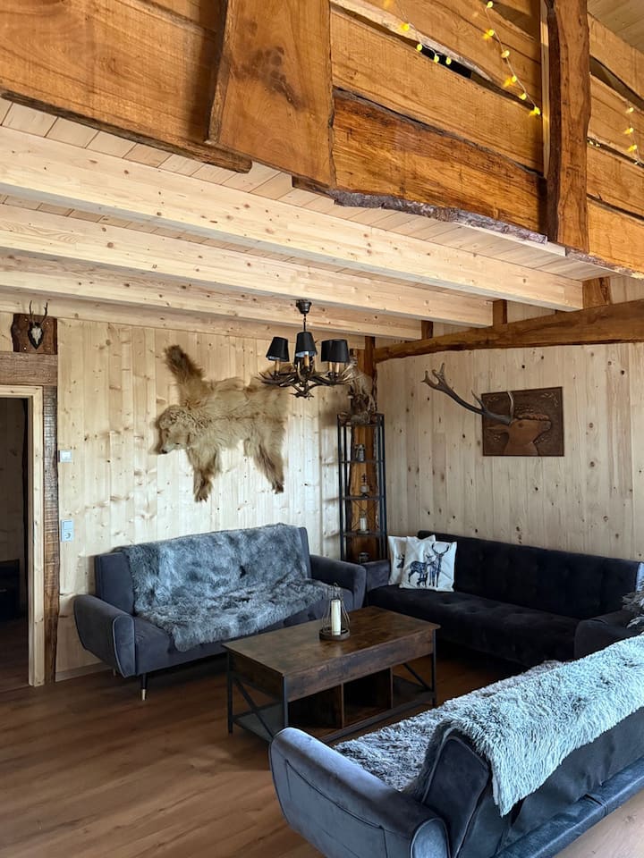 Chalet On The Wolfsberg - Harz