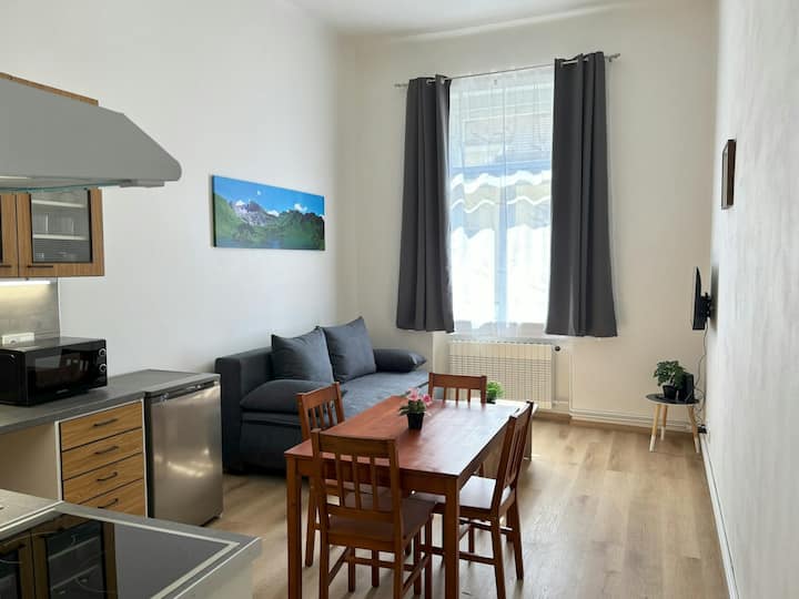 City Center Deluxe Apartment With 2 Rooms - 布拉格