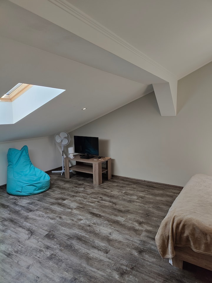 Trianon - Flat On The 3rd Floor - Karlovy Vary