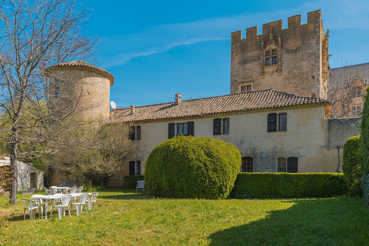 Conciergerie Chateau D'allemagne - Esparron-de-Verdon