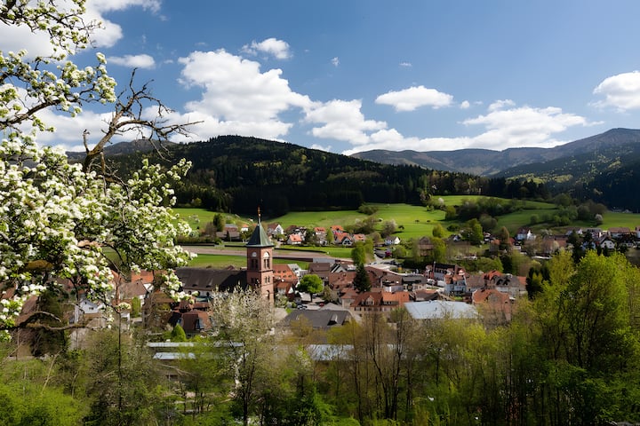 Fewo Blumenweg - Elzach