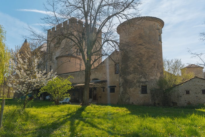 Ciel Bleu Chateau D'allemagne - Quinson