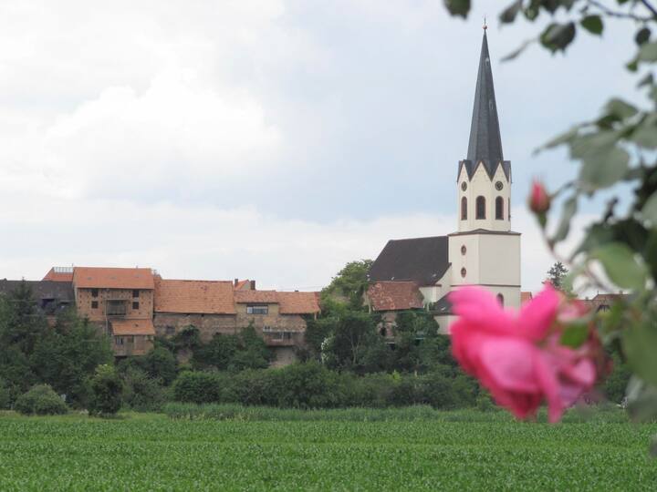 Ferien- Und Gästehaus Jockgrim - Karlsruhe