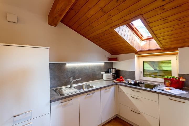 Haus Lohengrin Ferienwohnung 5 - Castelrotto