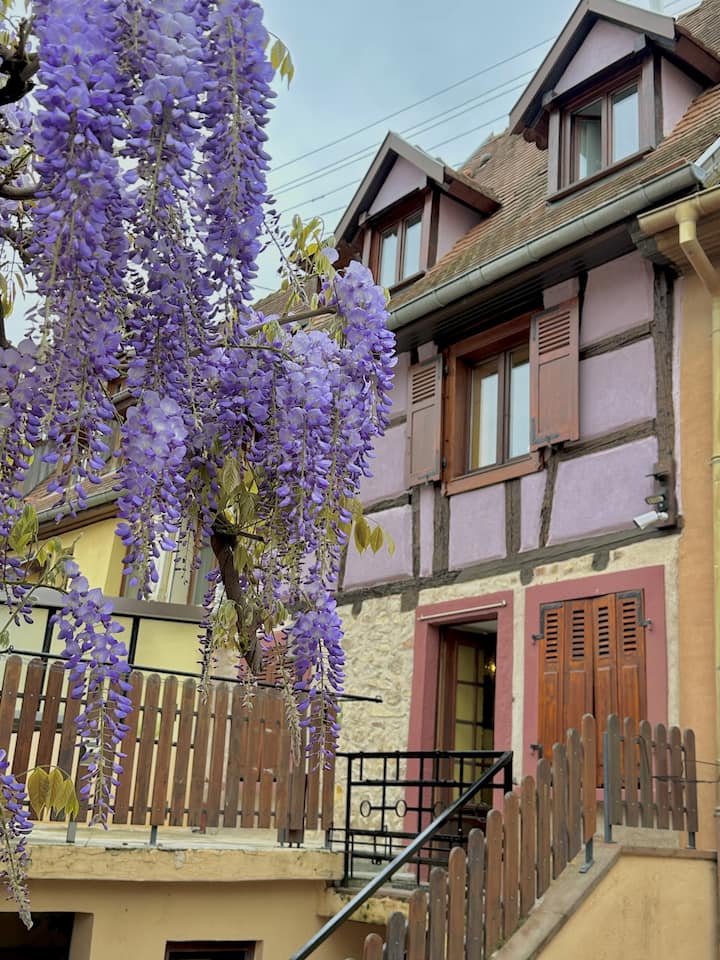 Maison De Charme - Centre Eguisheim - Eguisheim