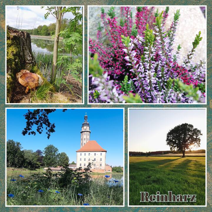 Ferienhaus Waldblick - Bad Schmiedeberg