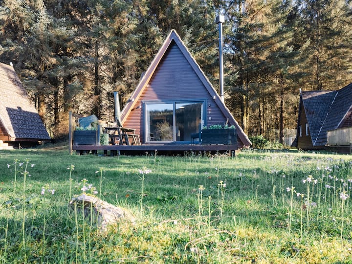 Pine Needle Lodge By Interhome - Invergarry