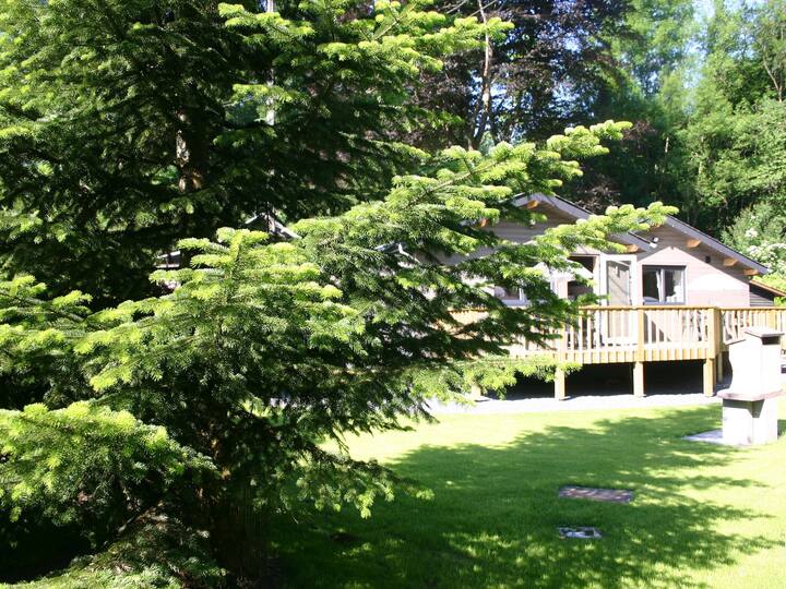 Magnifique Chalet Avec Terrasse Privée à Ferrières - Ferrières
