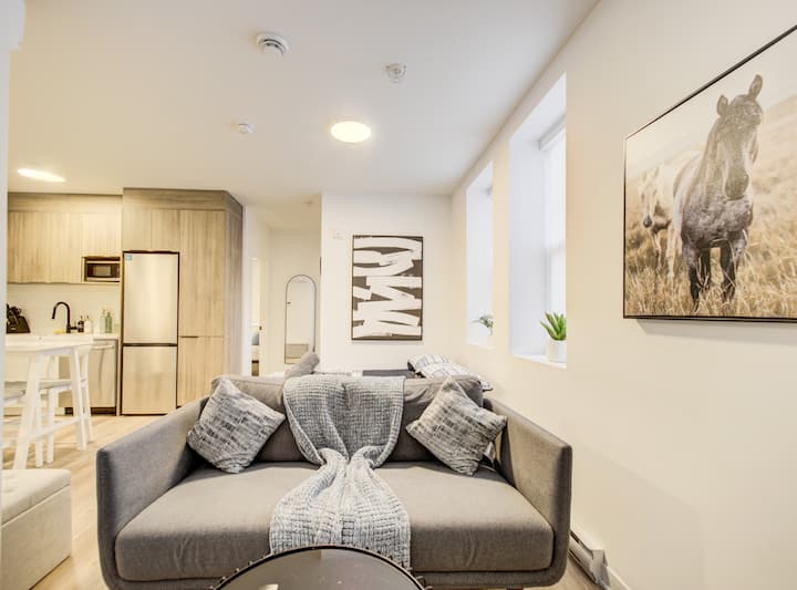 Urban Nest 2 Br Downtown Atwater Metro Station - Lasalle