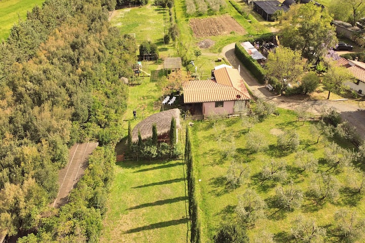 Piccola Fattoria - Happy Rentals - Massa Marittima
