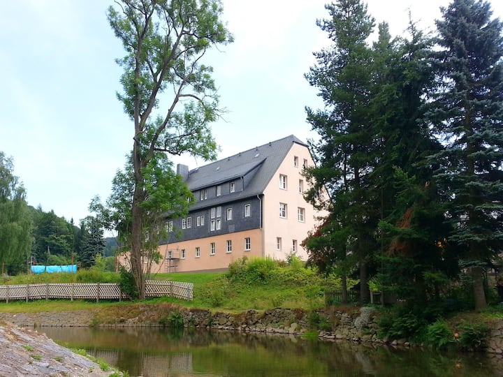 Appartement Près De La Forêt à Rauschenbach Saxe - Neuhausen/Erzgebirge