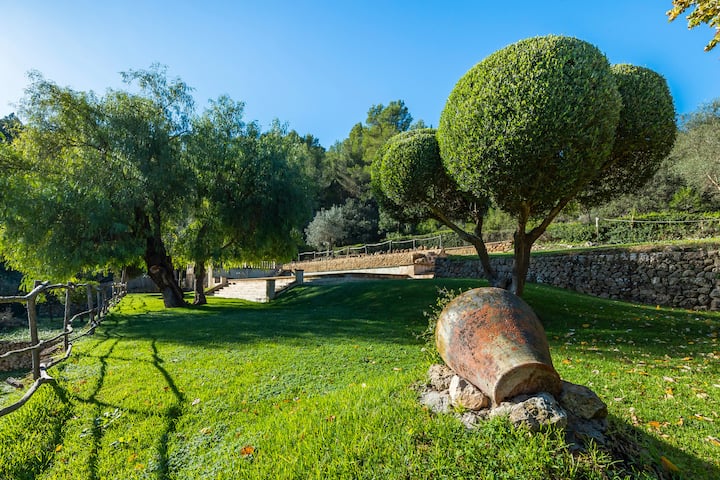 Habitación 2 - Mallorca