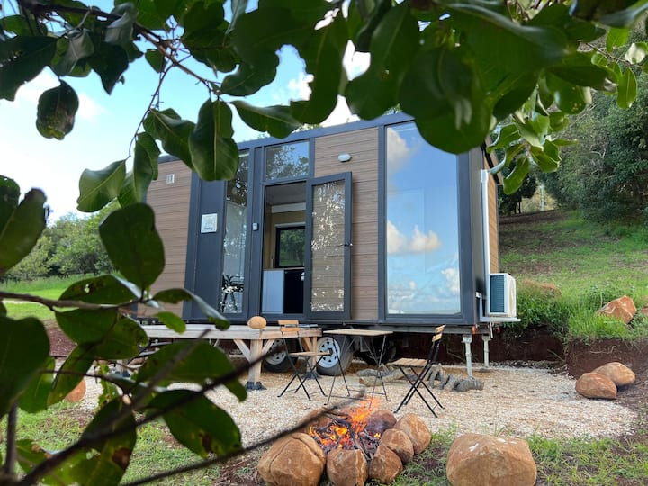 8 Farm Macadamia Plantation 2 By Tiny Away - Lennox Head