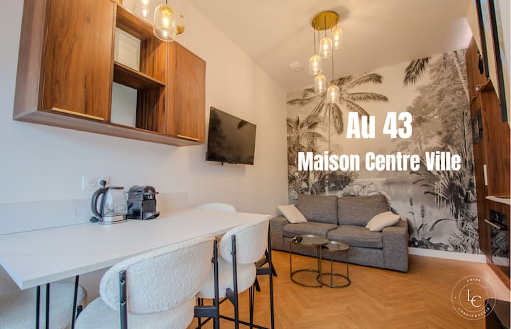 Au 43 Maison Du Centre Ville - Orléans