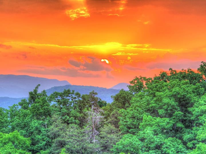 Pure Mountain Pleasure - ピジョン・フォージ, TN