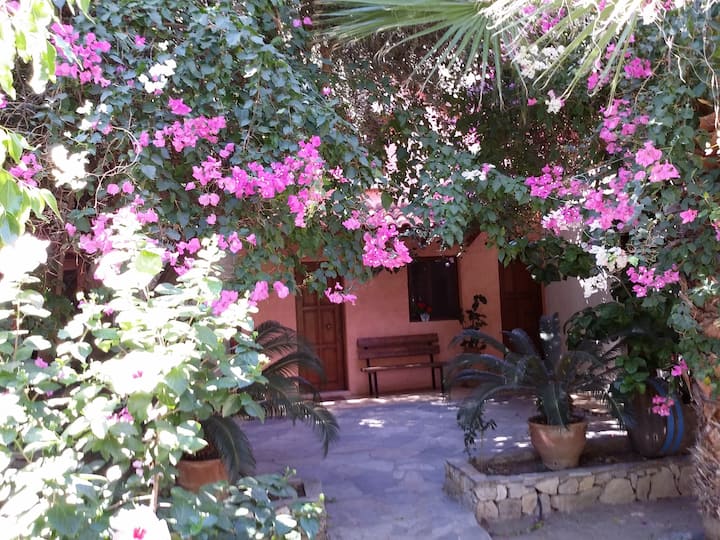 Olive Tree Cottages 4 - Paleochora