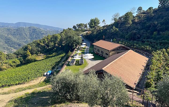 Beautiful Home In Dolceacqua - Vintimille