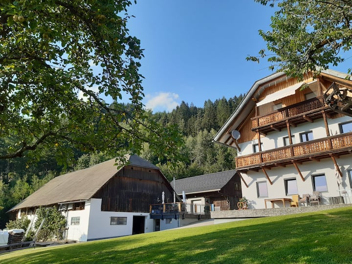 Appartement Fromme Helene - Millstatt