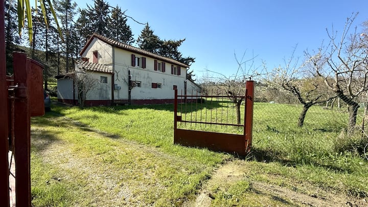 Se143 - Senigallia, Farmhouse Surrounded By Green - Senigallia