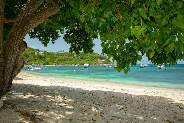 Nautilus-beach Access, Family, Prime Locale - Cruz Bay