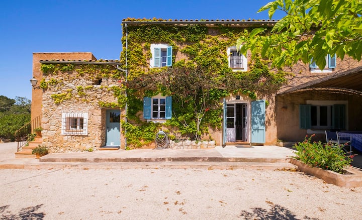 Baix D' Or - Felanitx
