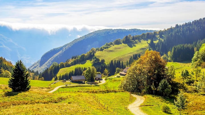 Breathtaking Stay Near Jura Forest & Lake Geneva - Divonne-les-Bains