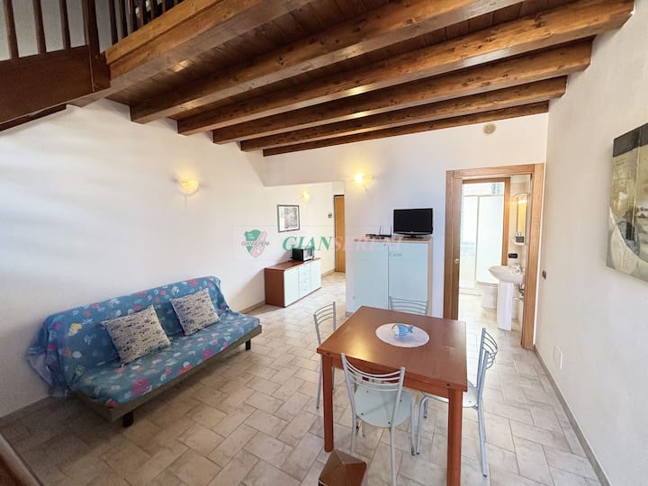 5 Beds With Swimming Pool Ref. Palme2 - San Vincenzo