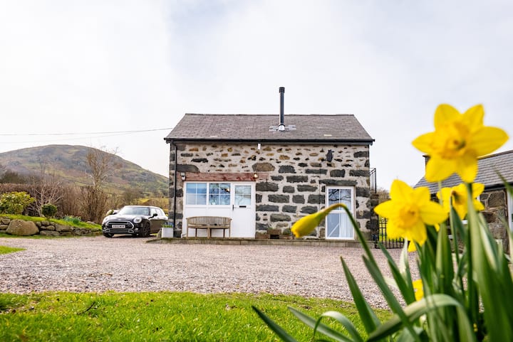 Granar-gwaew - Conwy