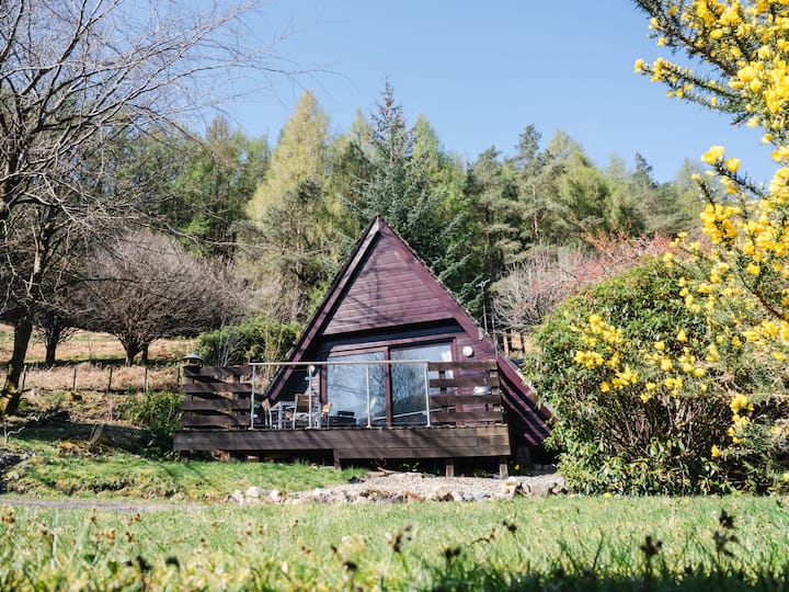 Oystercatcher By Interhome - Invergarry