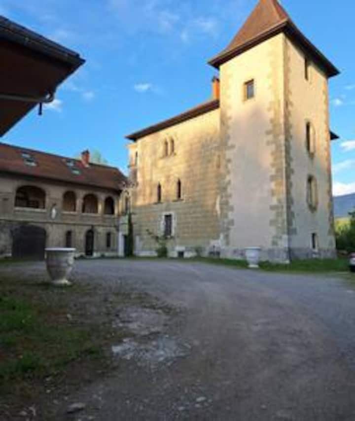 L'appart' Du Château Avec Sauna - Annecy 15 Min. - Rumilly