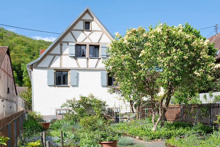 Ferienhaus Hildahüsli - Badenweiler