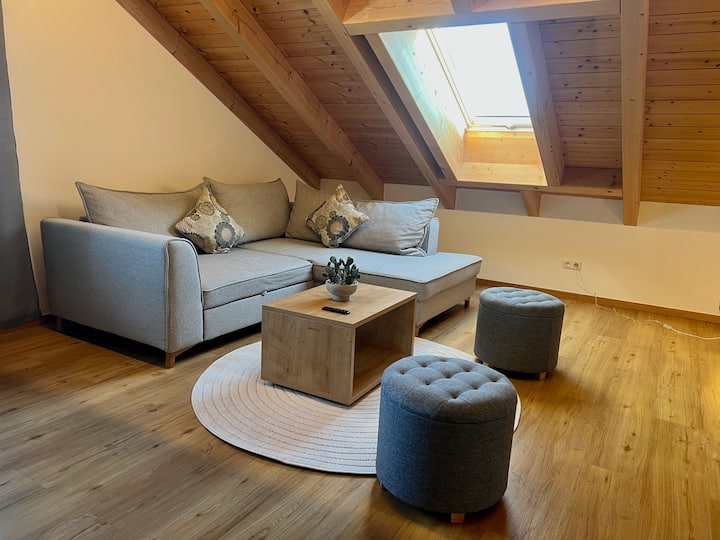 Fewo Dg (Ferienwohnung Villa Bachfischer) - Regensburg