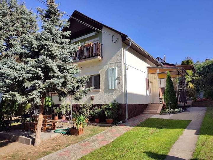 Appartement De Vacances Près De La Plage Avec Wifi - Siófok