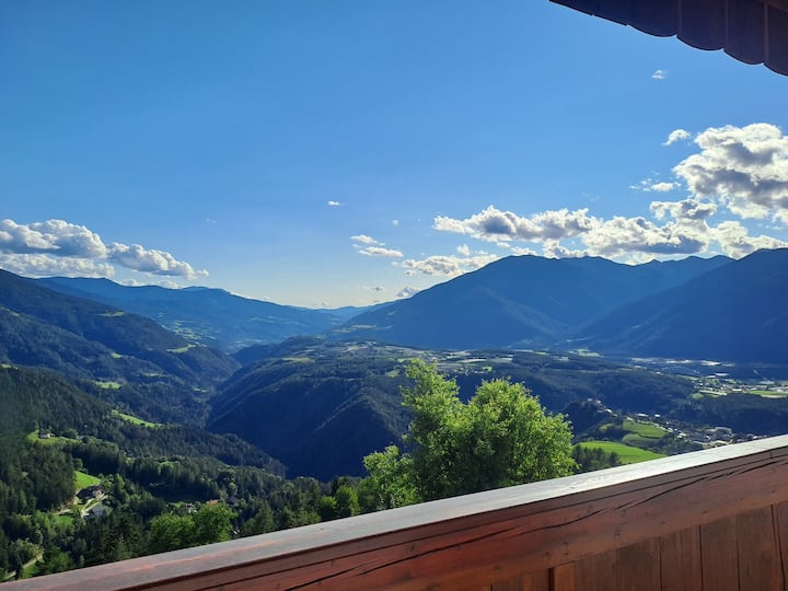 Bio - Galtinerhof Lindenbaum - Brixen