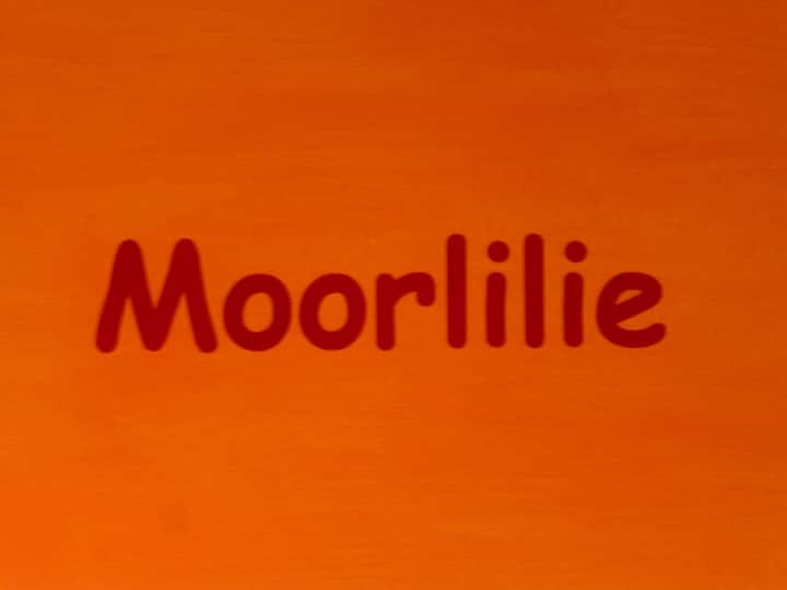 Ferienwohnung Moorlilie, 40qm - Illmensee
