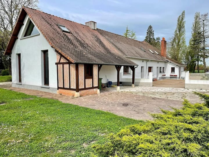 Maison à La Ferté-saint-cyr - Beaugency