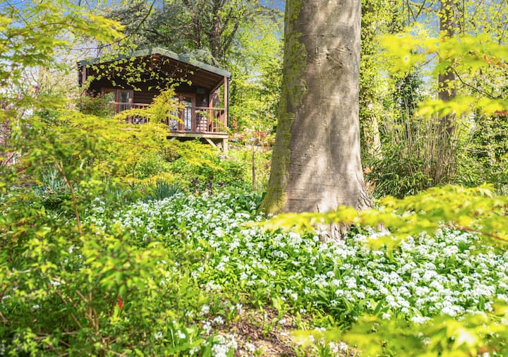 Woodland Views Lodge - Blandford Forum