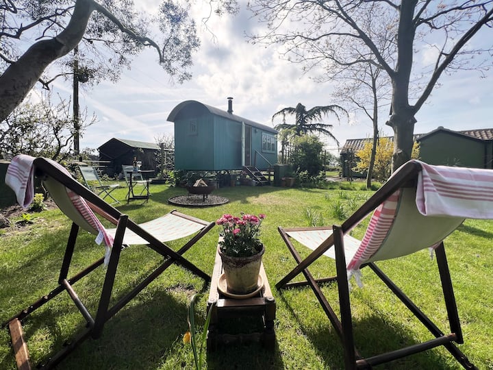 The Hollies Shepherds Hut - Woodbridge