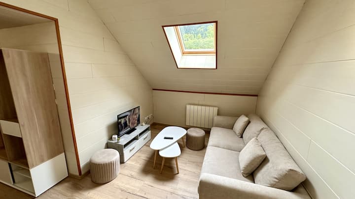 Le Mb 9 Le Mont Dore 8pers - Orcival