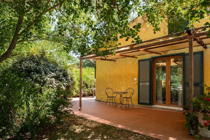 Rosaspina - Appartamento 7 - Capalbio