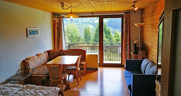 Apartment Haus Steigerbauer Top 29 - Königsleiten